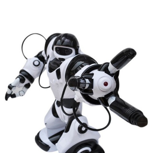 TT313 RC Robot Remote Control Toy Roboactor