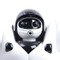 TT313 RC Robot Remote Control Toy Roboactor