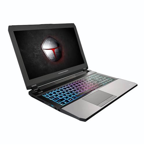 ThundeRobot ST-Pro Gaming Notebook Gray UK