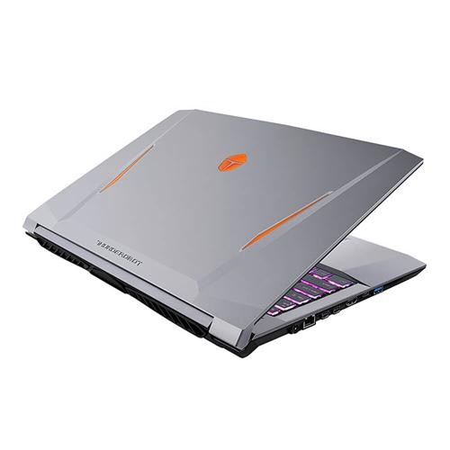 ThundeRobot ST-Plus Gaming Notebook