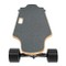 SYL-10 Electric Skateboard Single Drive