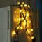 20PCS Rattan LED Bulbs String Floral Lights Warm White
