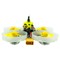 FullSpeed TinyLeader Brushless Whoop FPV Drone Frsky Receiver BNF