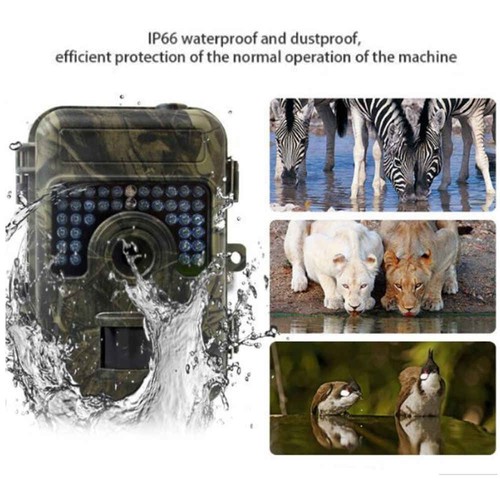 IP66 Waterproof 1080P Outdoor Hunting Camera