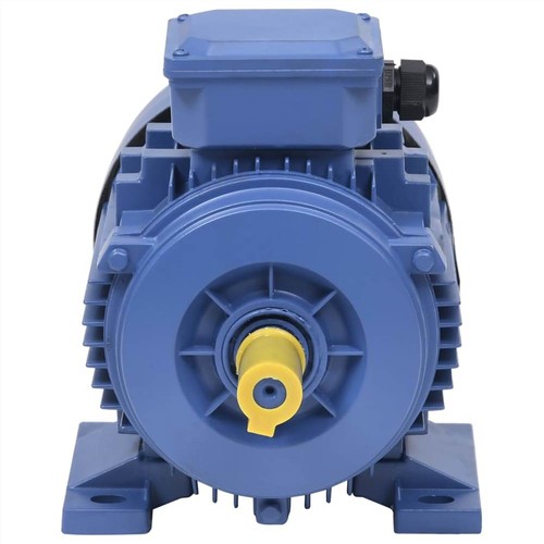 3 Phase Electric Motor 3kW/4HP 2 Pole 2840 RPM