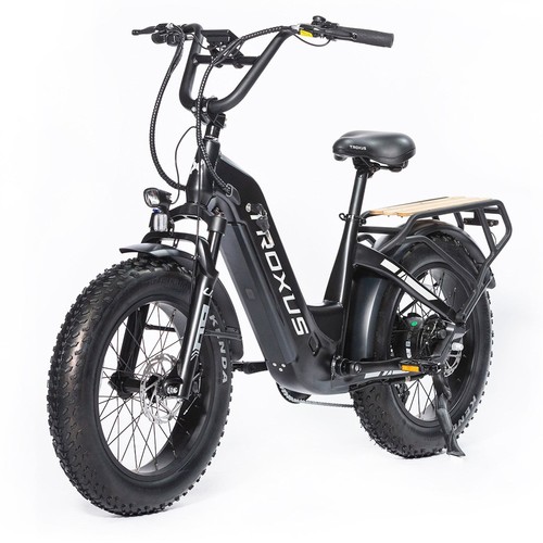 Troxus Lynx 20'' Electric Bike 750W Motor 45Km/h Speed 48V 20Ah Black
