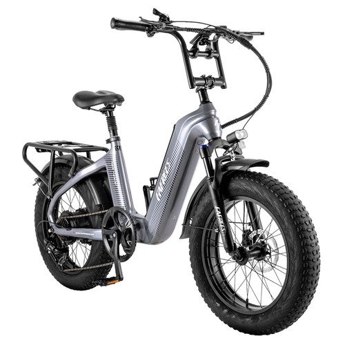 Fafrees F20 Master E-bike 20*4.0 Tire 500W Motor Grey | Europe