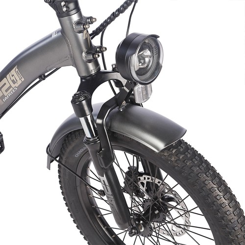 FAFREES F20 Mate Electric Tricycle Black | Europe