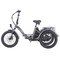 FAFREES F20 Mate Electric Tricycle Black | Europe