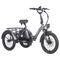 FAFREES F20 Mate Electric Tricycle Black | Europe