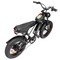 Ridstar Q20 Mini Electric Bike