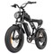 Ridstar Q20 Mini Electric Bike