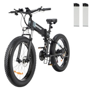 Ridstar H26 Faltbares Elektrofahrrad 1000W 15AH