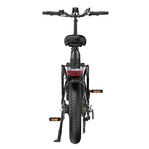 ESKUTE Star Electric Bike 20 inch 36V 25Ah 25km/h 250W Motor Black