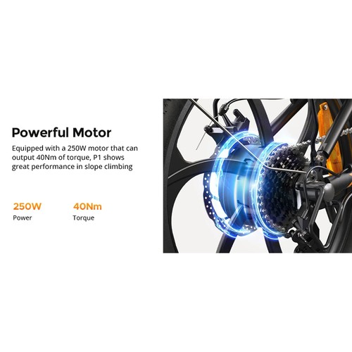 ENGWE P1 Electric Bike 12.5Ah 250W Motor Black