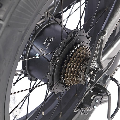 Fafrees F20 Ultra E Bike (Upgraded Version) 750W 48V 25Ah Black | Europe