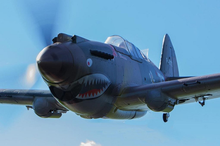 FMS P-40B P40B Flying Tigers 1400mm Wingspan Warbird PNP