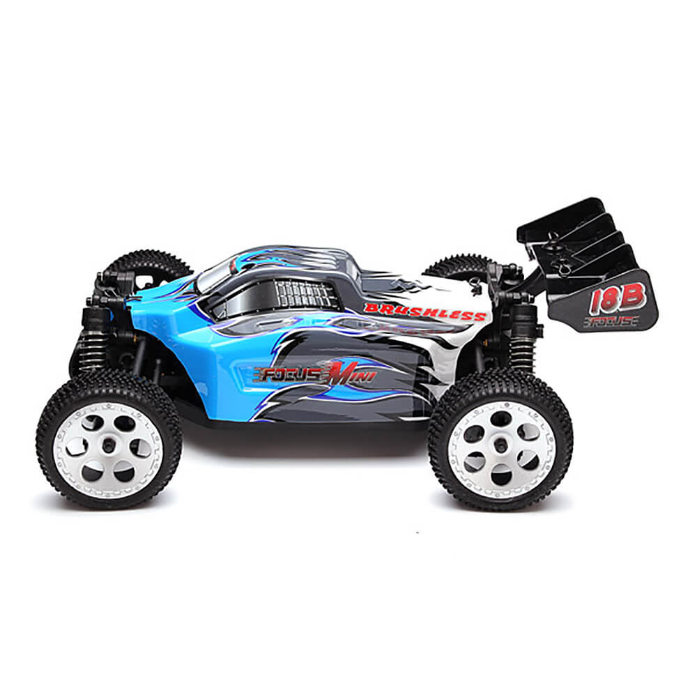 FS Racing 73201 1/18 4WD RC Car