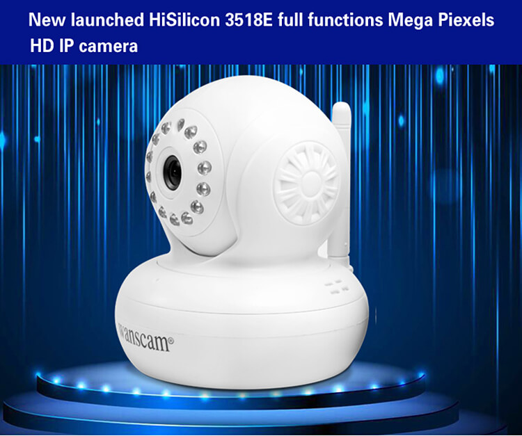 Wanscam HW0021 IP Camera -Black