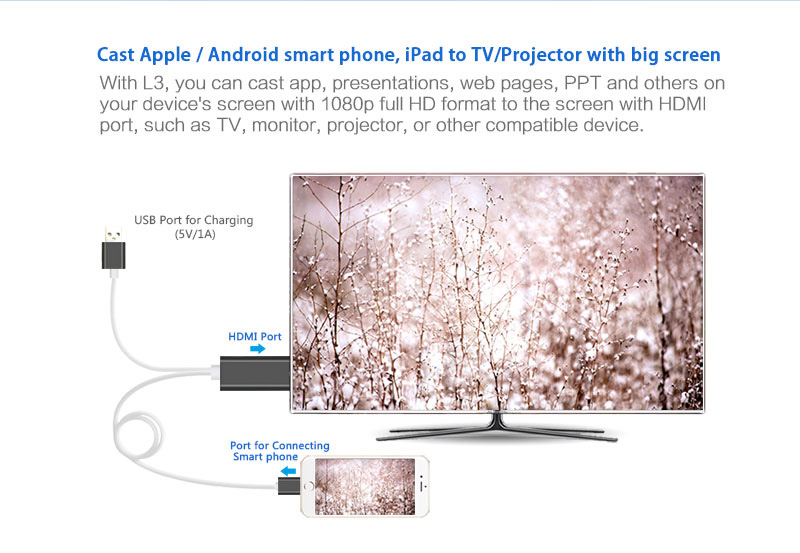 L3 Miracast/Airplay Mirroring Cable Black