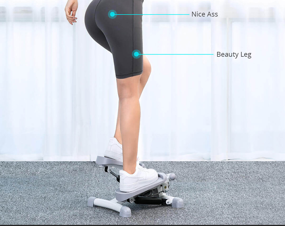 Xiaomi XQIAO Indoor Mini Multifunctional Waist-twisting Stepper White