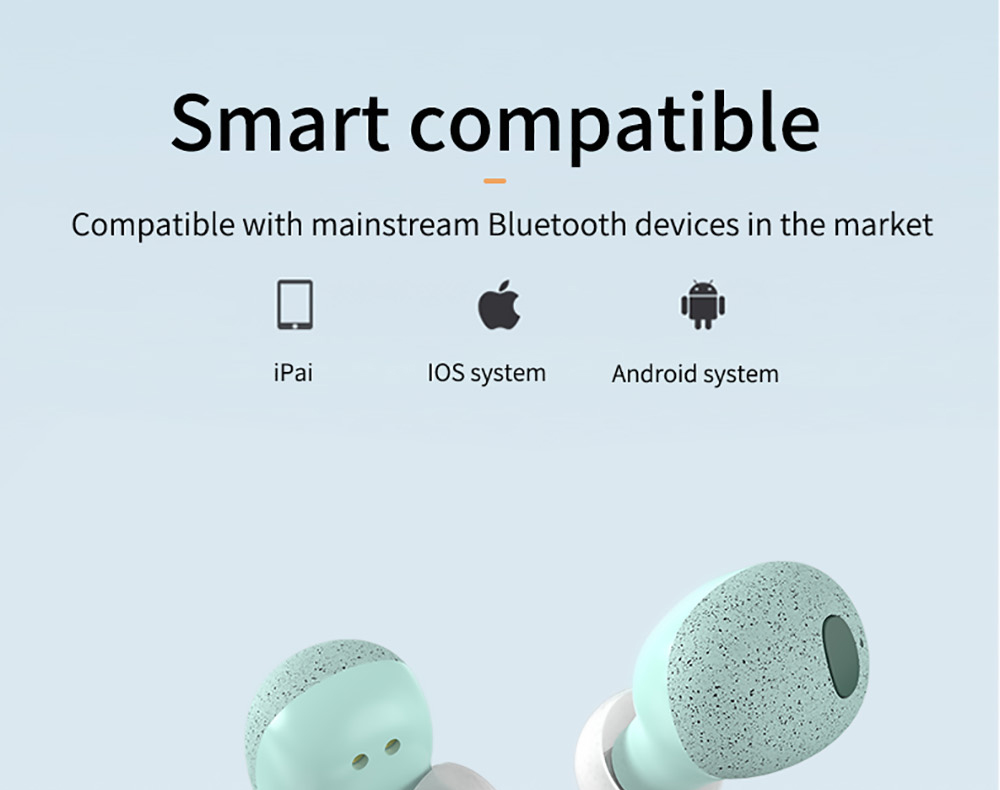 TWS-T2S Bluetooth 5.0 Wireless Earbuds Black