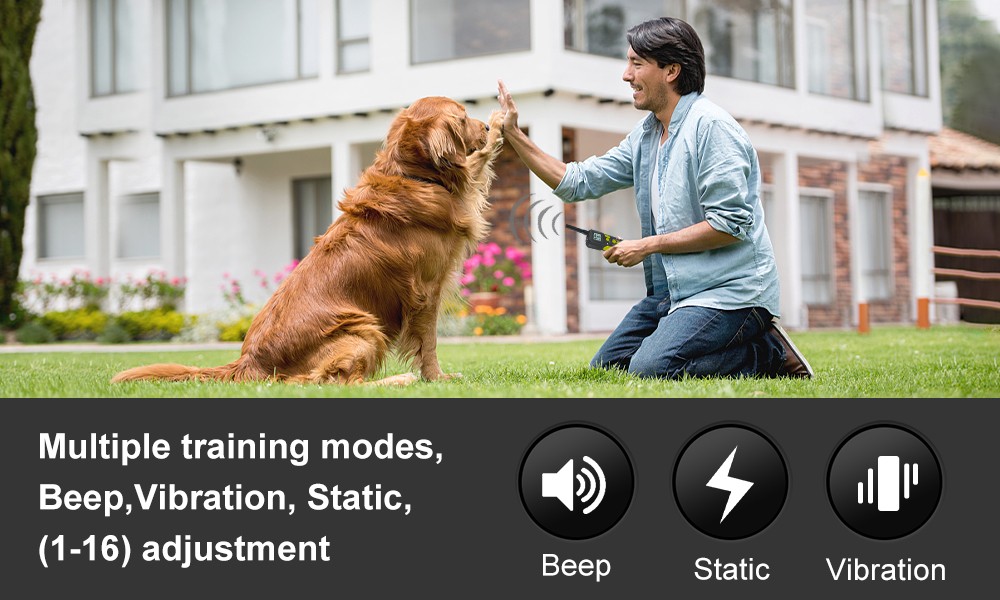 T10 Electric Dog Training Device Collar Wireless LCD Display