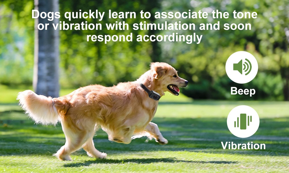 T10 Electric Dog Training Device Collar Wireless LCD Display