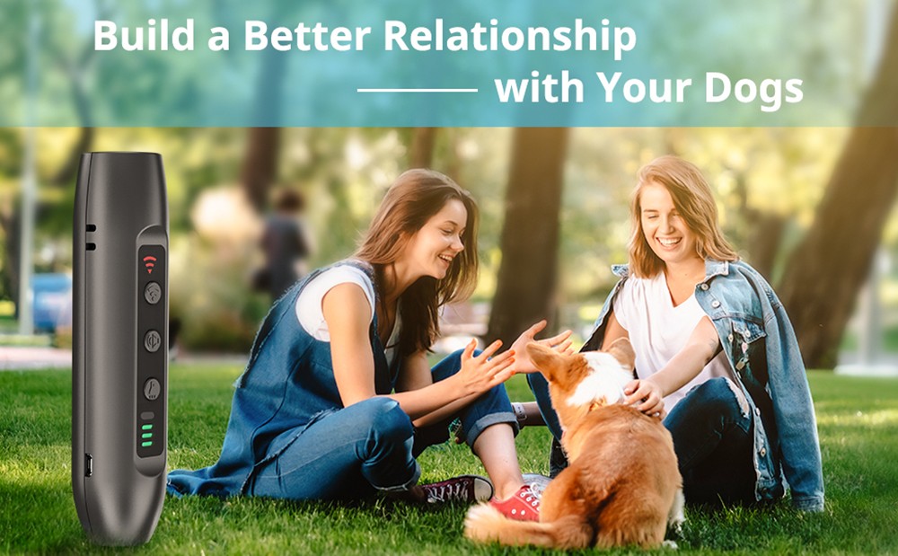 N10 Handheld Dog Training Device