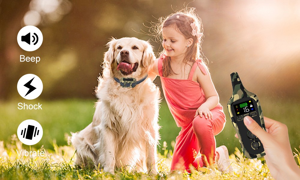 T11 Handheld Dog Training Device