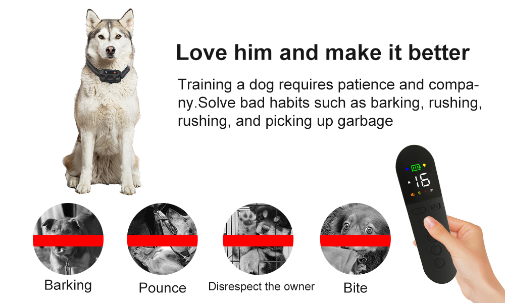 T15 Handheld Dog Training Device