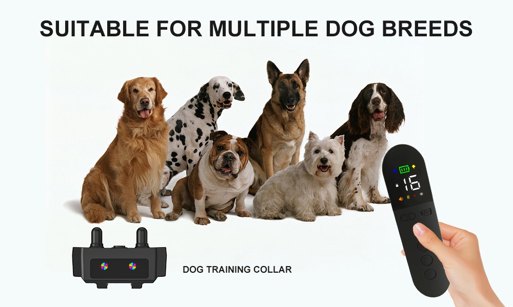 T15 Handheld Dog Training Device