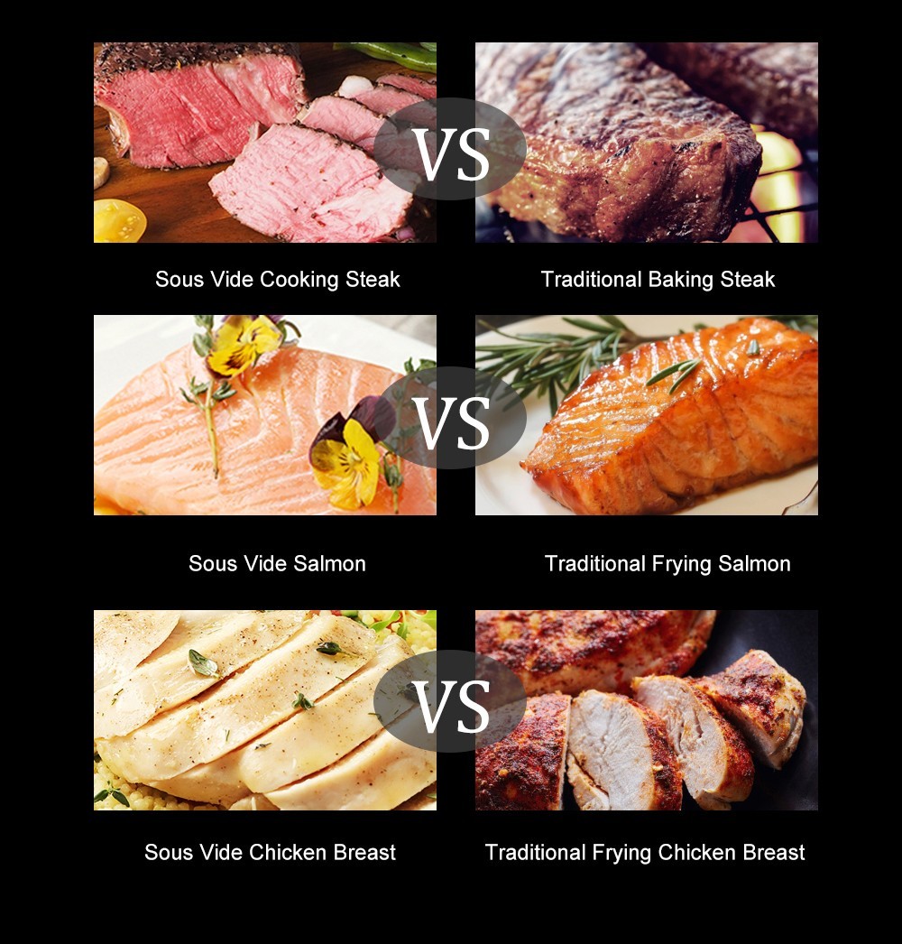 BioloMix SV-9001 Smart WiFi Sous Vide Cooker