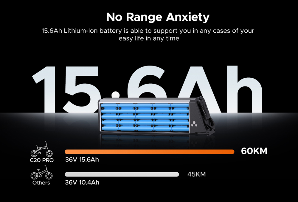 ENGWE C20 Pro E-bike 20 Inch 36V 15.6AH 25Km/h 250W Bafang Motor Black