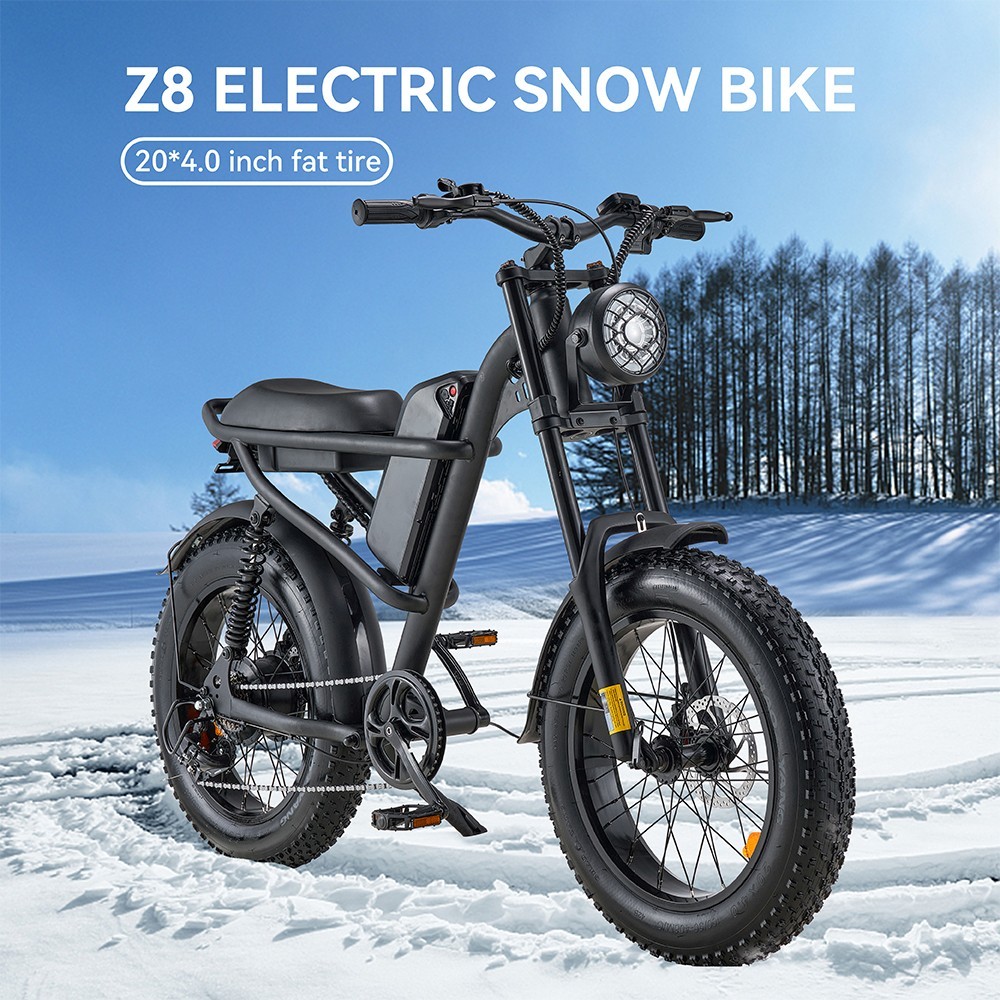 Electric Bike 20" , 20 Inch E Bike, Hybrid Bike, 2 X 48V 15AH Double ...
