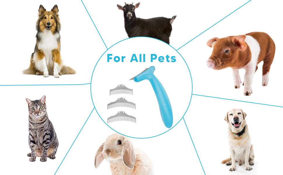 Fluffee Pet Hair Comb with 3 Replaceable Combs Blue