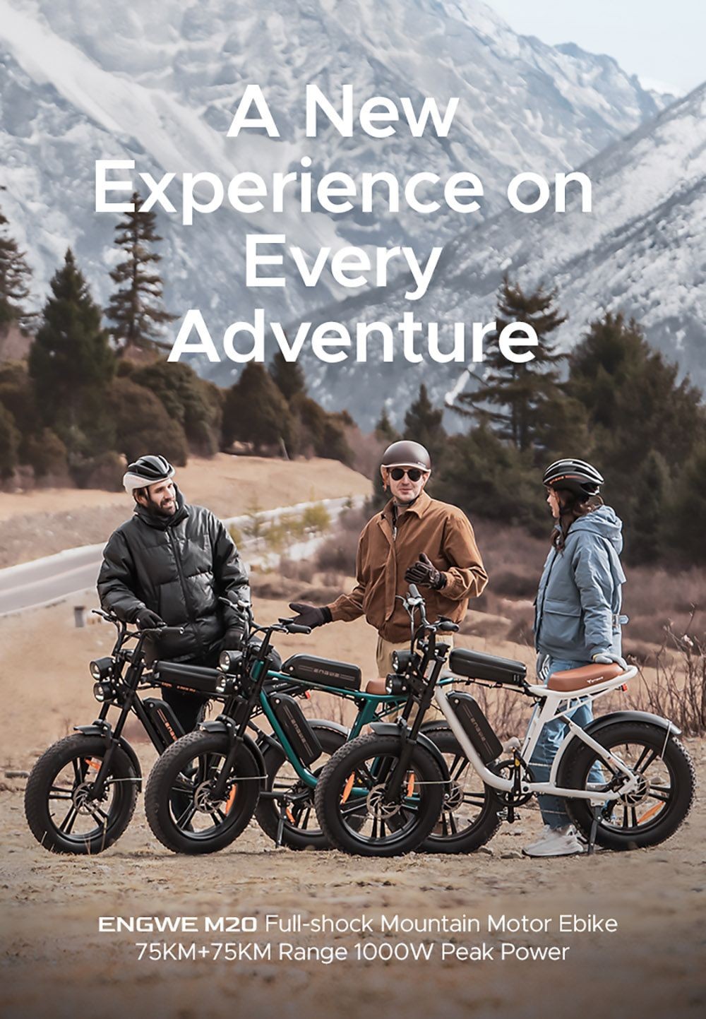 ENGWE M20 2*13Ah Batteries 20*4.0 inch Tires Green