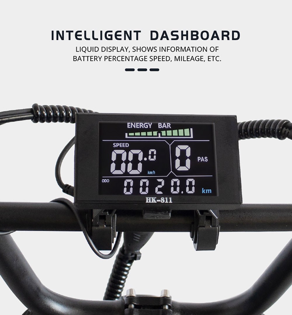 E11 Electric Bike 20*4.0 inch Tire 48V 1000W Motor