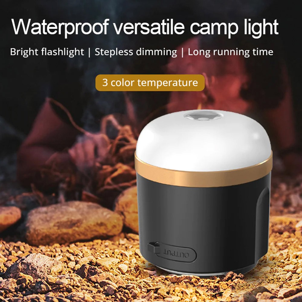 EcoFlow Camping Light