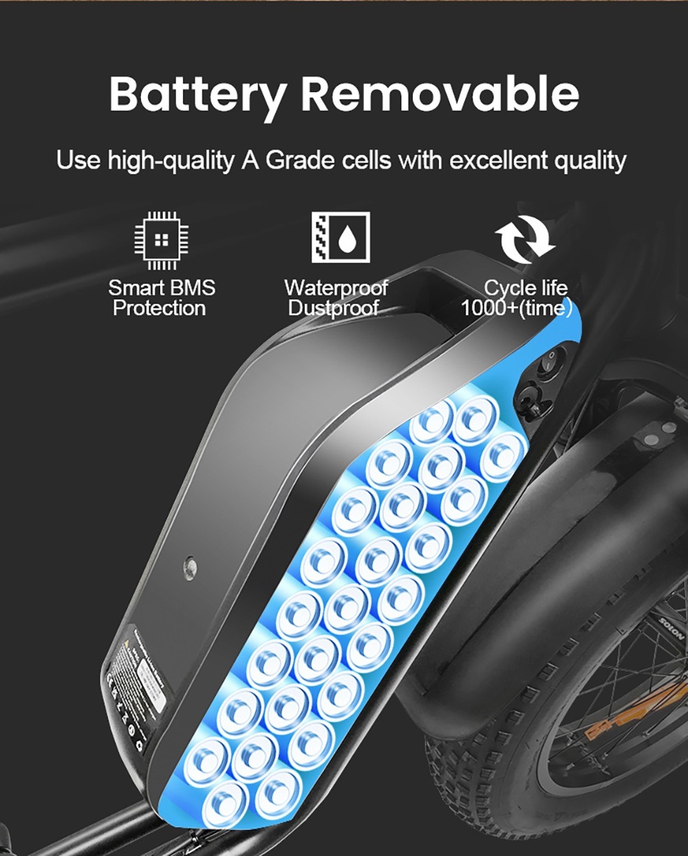 Q8 Electric Bike 20 inch 1000W Motor 48V 17.5Ah Battery 55km/h Speed