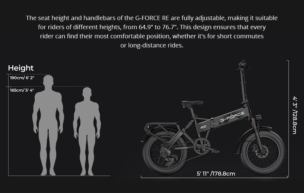 G-FORCE RE Electric Bike 250W 48V 15.6AH Black