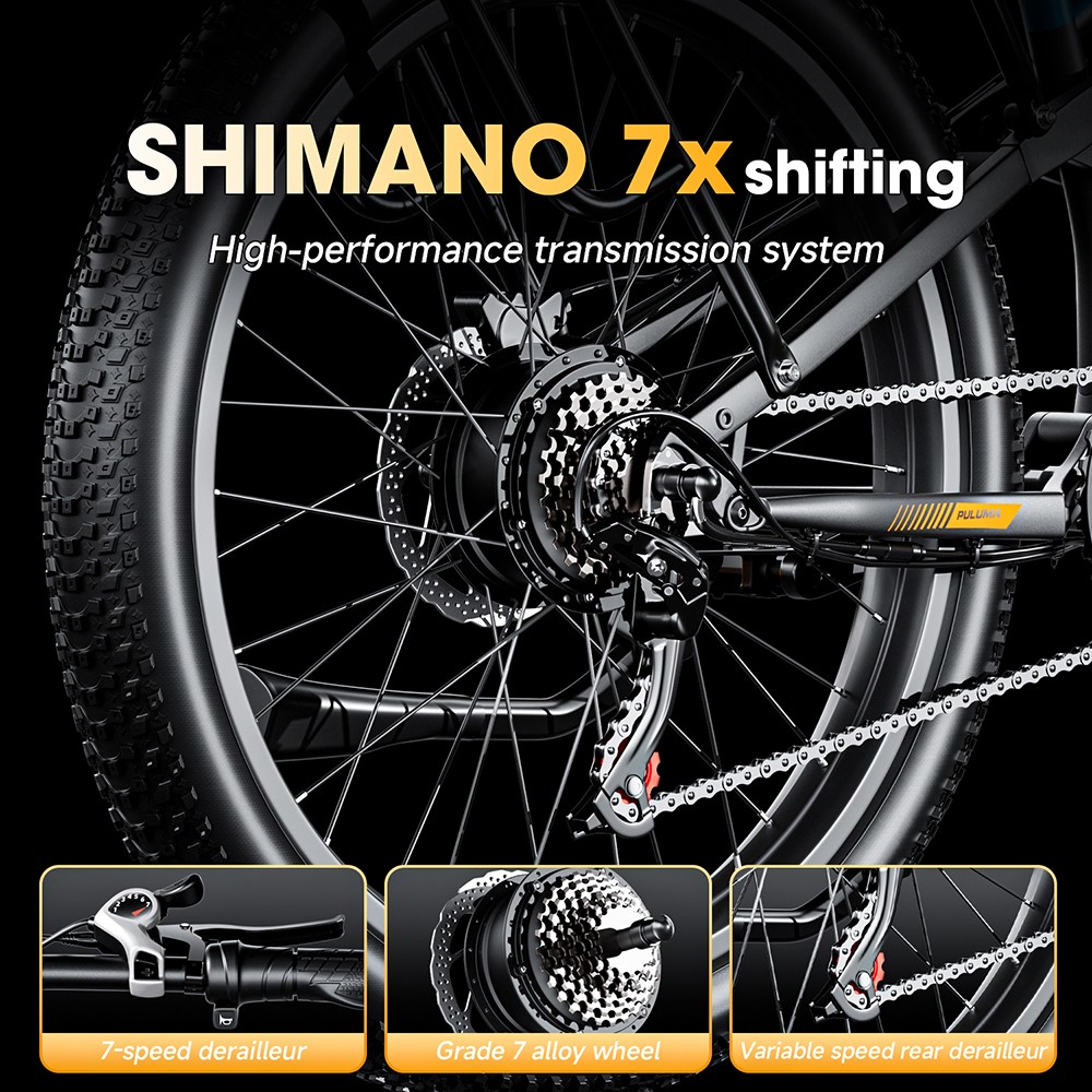 PULUMA PE86 Electric Bike 500W 48V 20Ah