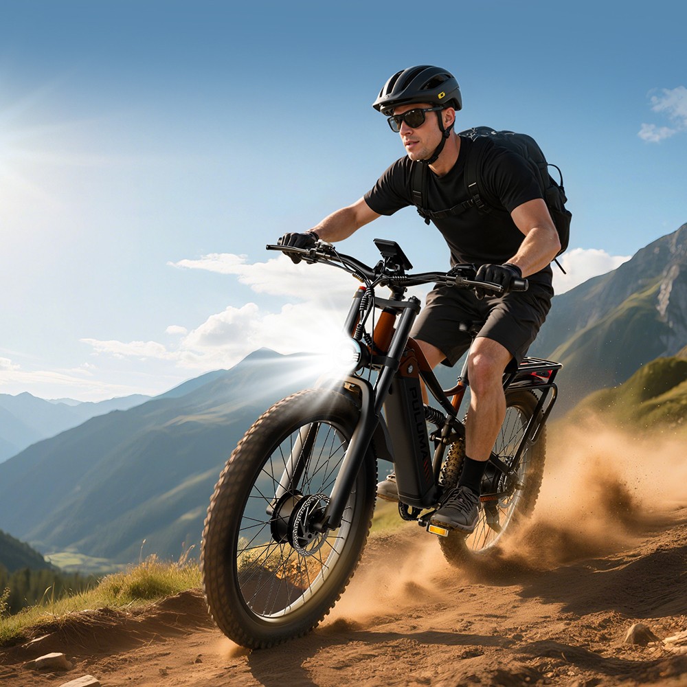 PULUMA PE86 Pro Electric Bike 500W*2 48V 20Ah