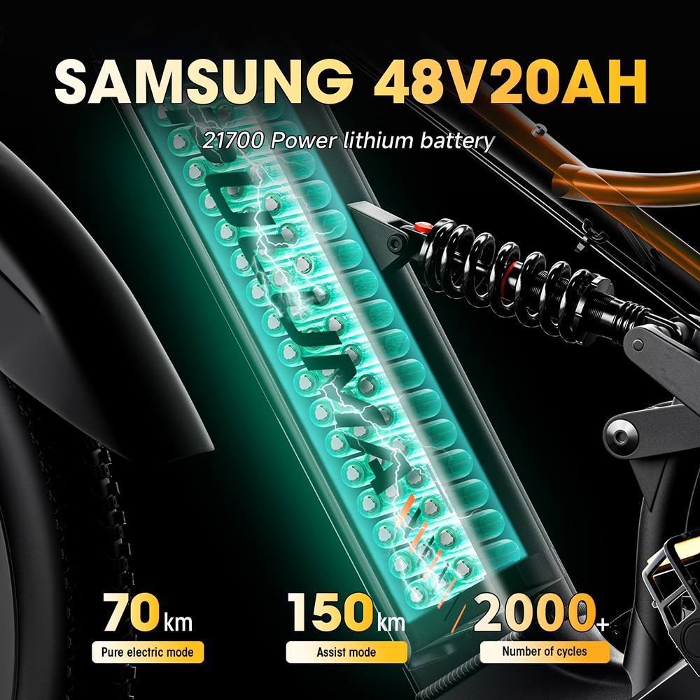 PULUMA PE86 Pro Electric Bike 500W*2 48V 20Ah