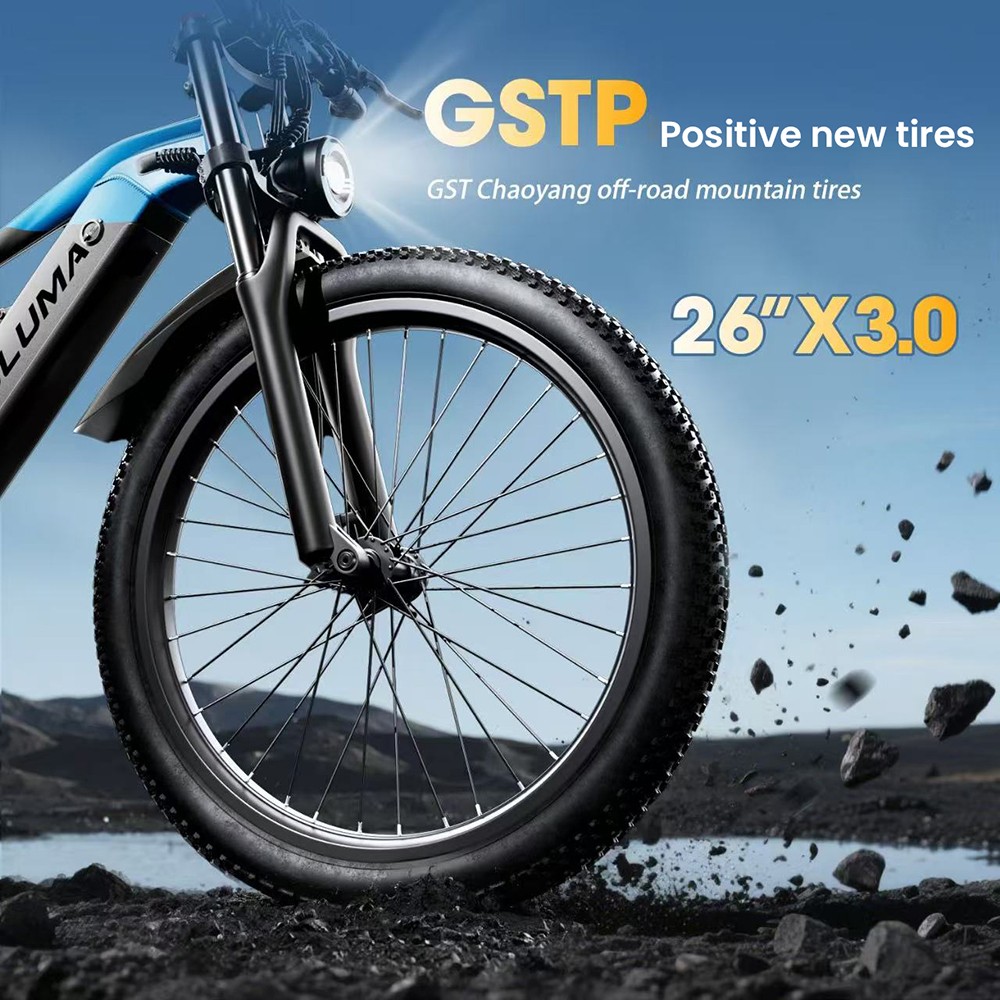 PULUMA PE86 Electric Bike 500W 48V 20Ah