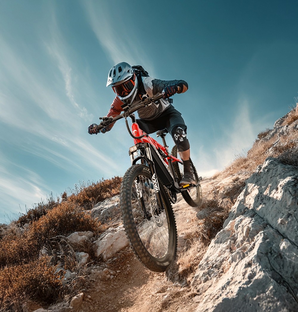 DUOTTS E29 Electric Bike 250W 48V 13.5Ah Black Red | Europe