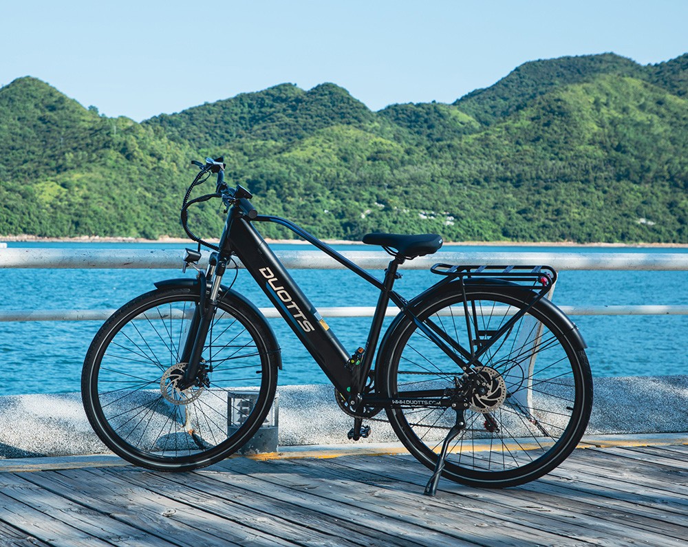 DUOTTS C29 Lite Elektrofahrrad 250W 36V 13Ah