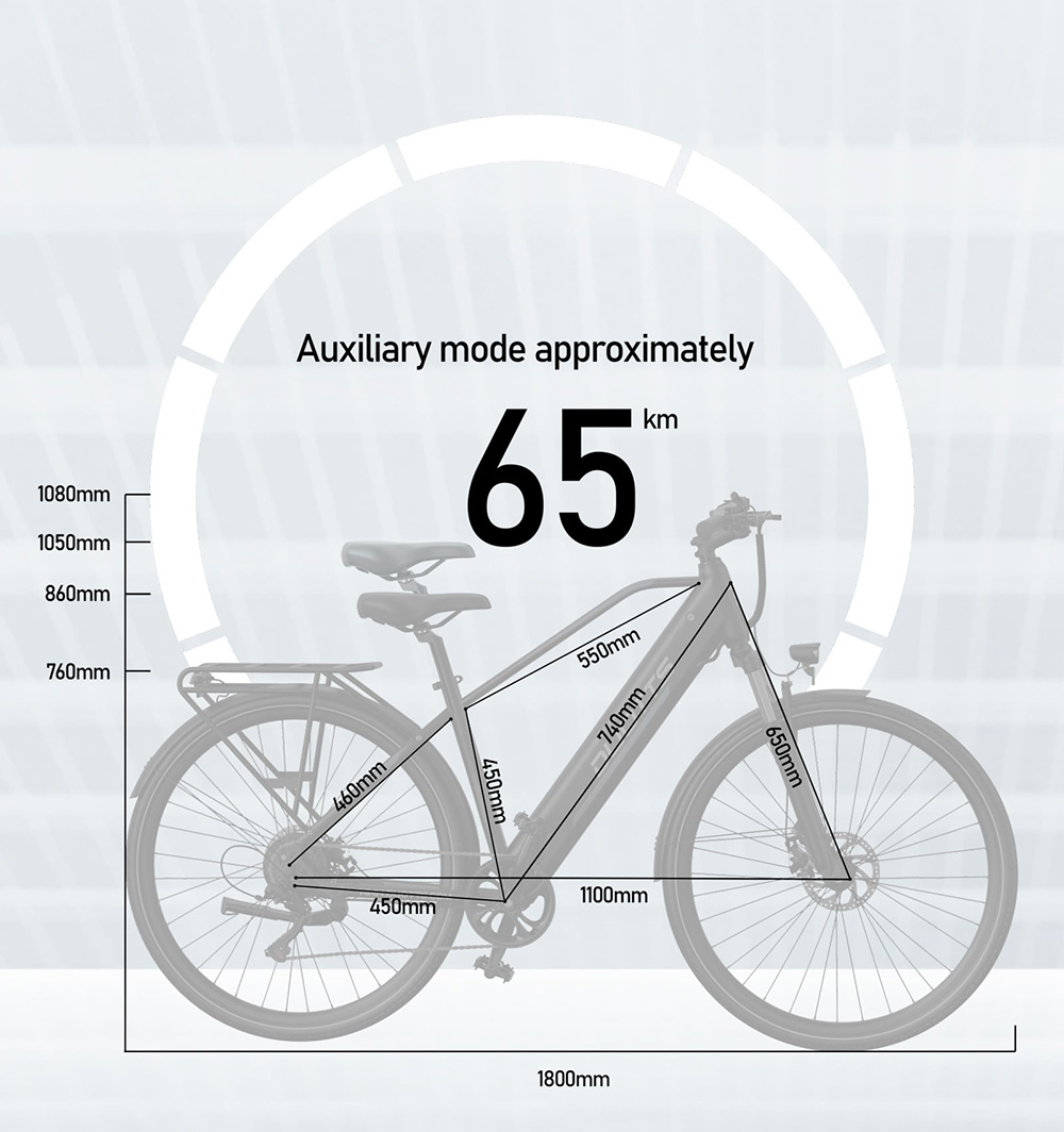 DUOTTS C29 Lite Elektrofahrrad 250W 36V 13Ah
