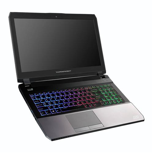 ThundeRobot ST-Pro Gaming Notebook Gray UK
