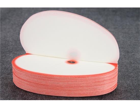 Apple Sticky Note Fruit Note Paper